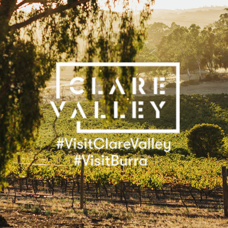 Thinking of Visiting the Clare Valley? Here Are 11 Experiences You Can ...